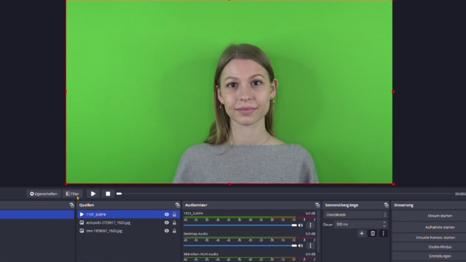 Greenscreen – MedienLB